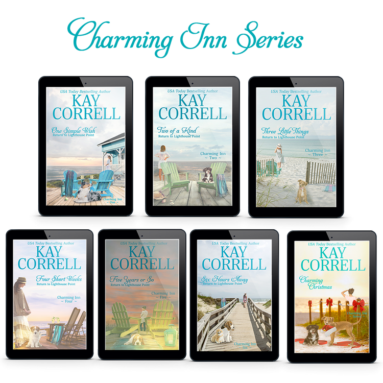 Book Series – Kay Correll's Shop